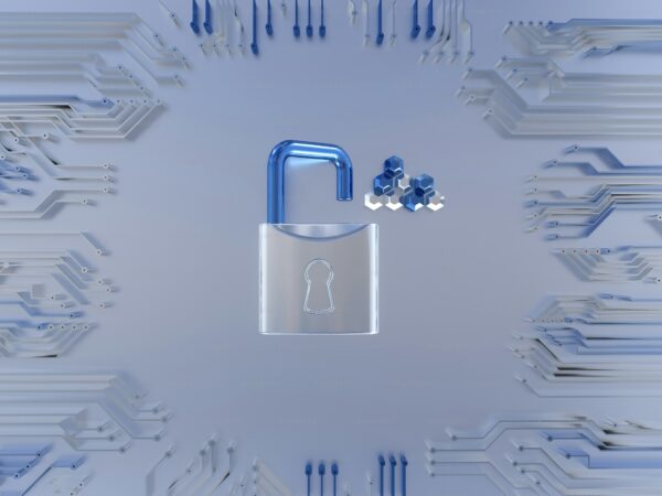 PwnedWebsites - Data Security